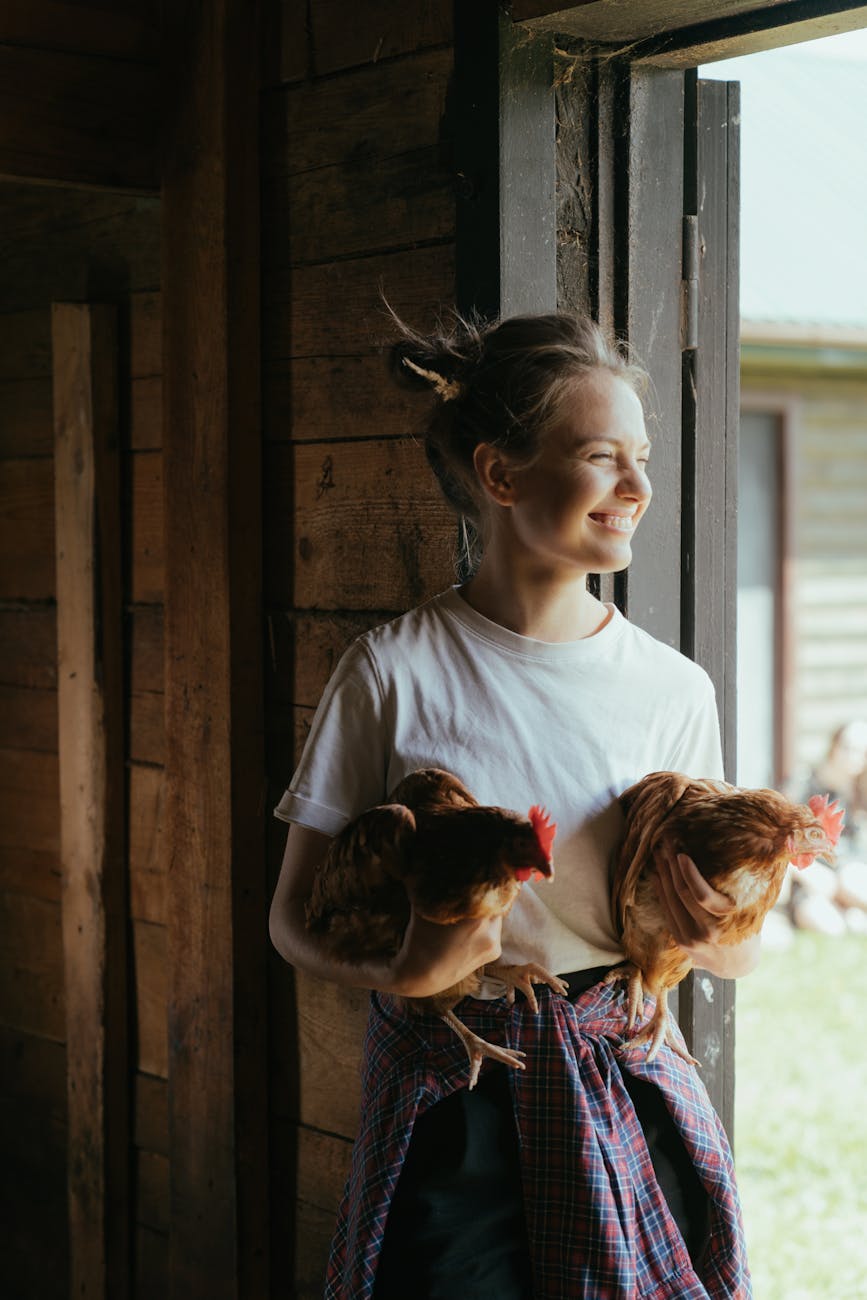 Poultry Farming SWOT Analysis Exposed - Osum Poultry Farming SWOT Analysis Exposed - Osum